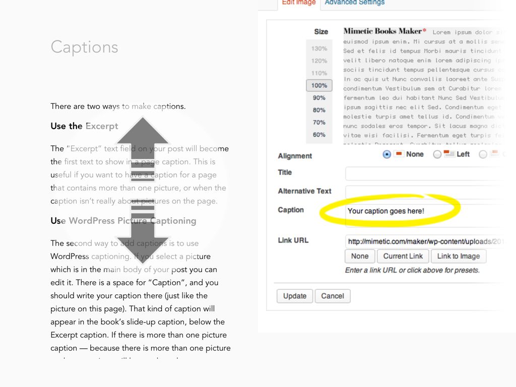 Samples – Mimetic.com
